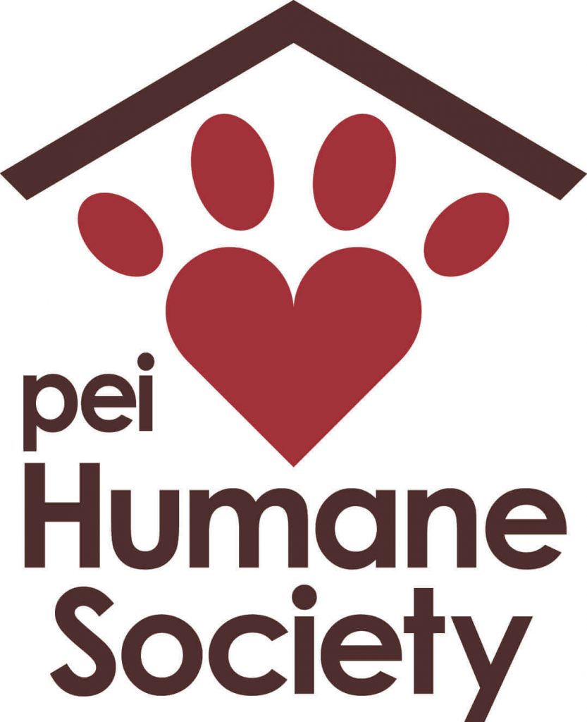 20 Organizations doing great work for dogs - dogmal