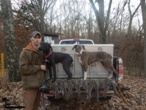 Mountain Cur Dog - Characteristics, Appearance and Pictures